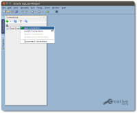 SQL Developer Connection to Local Database » Development is more than ...